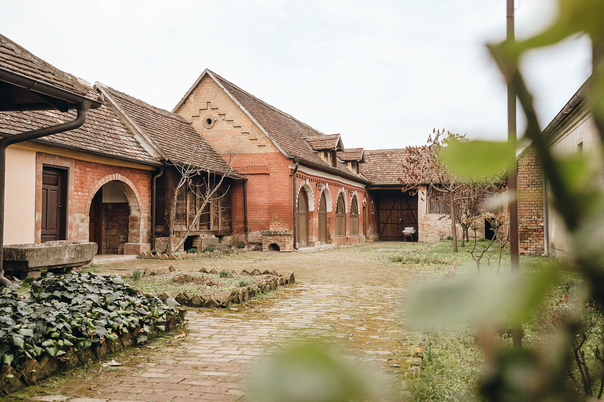 Family-run farms - The Spačva Forest